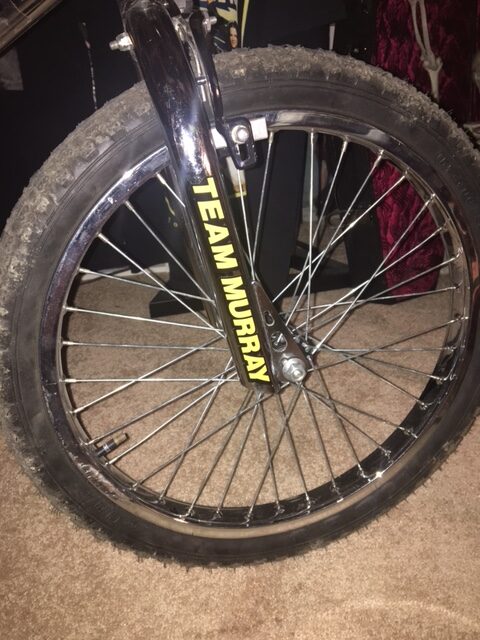 Team Murray Restoration Fork Decals - Vintage Steel